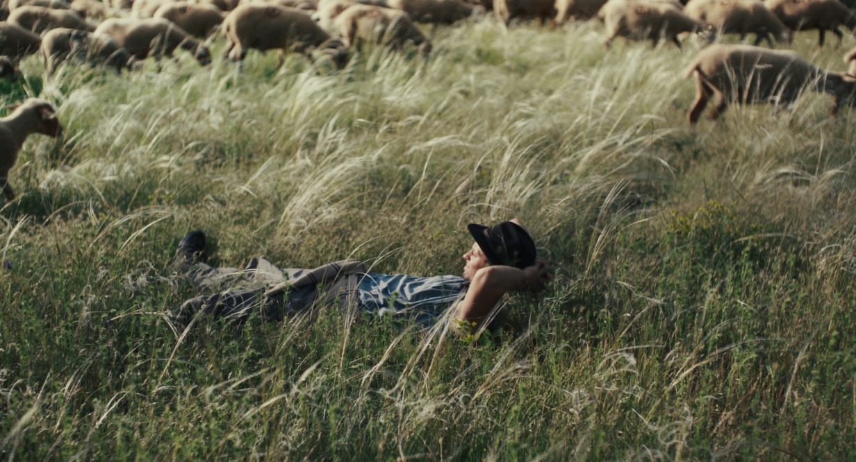 Hasta la Montaña – SurtseyFilms